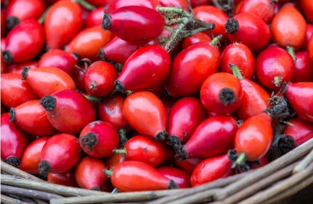 sipak – DOMACI KOLACI